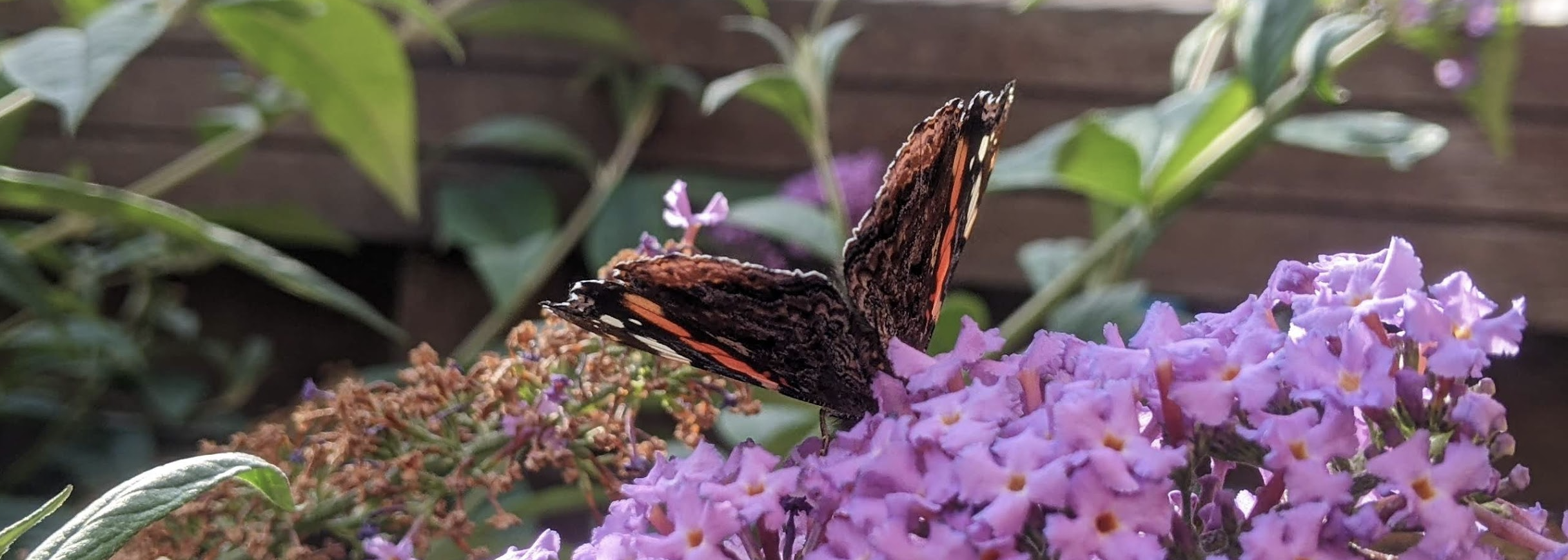 Swiftui Apply Custom Formatting To Localized Strings